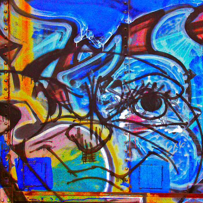 Blue, Eye | Boxcar | Robert Anderson Photography