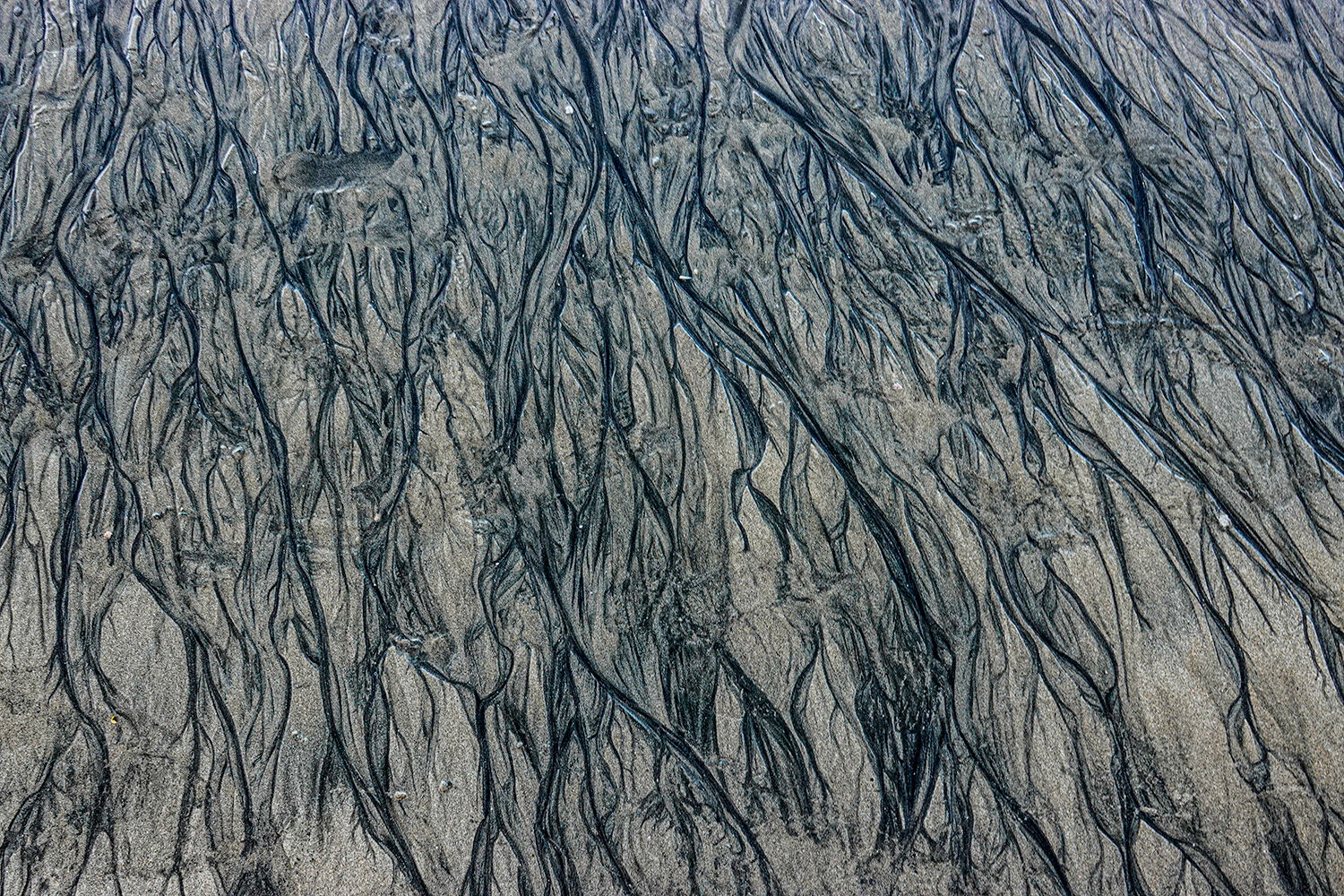 Sand Patterns, Low Tide | Robert Anderson Photography