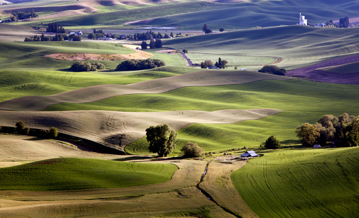 Palouse | Robert Anderson Photography